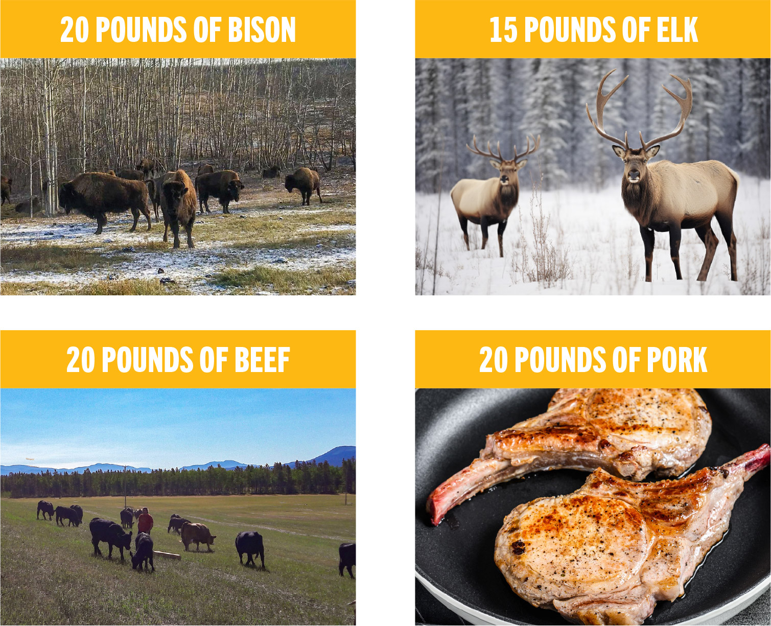 Takhini River Ranch - Takhini River Ranch